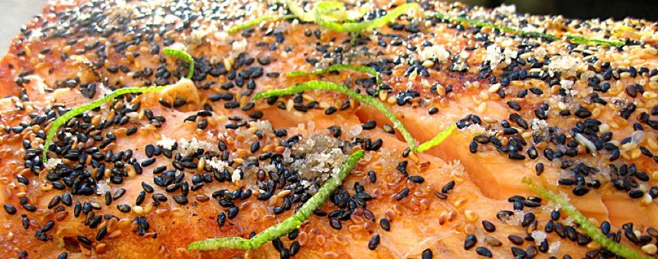 Pan-Fried Sesame Salmon with Iburi-Jio Cherry Smoked Salt – The Meadow