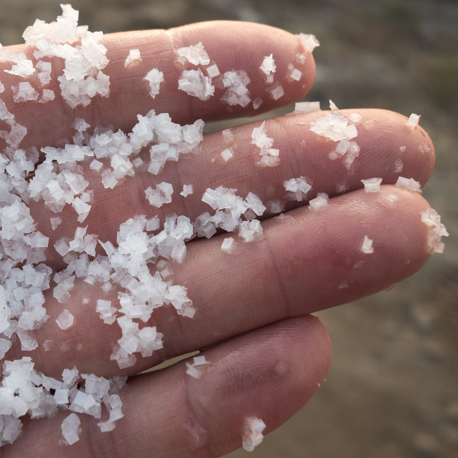 Salt Club - World's Most Exotic Salts Delivered Straight to Your Door ...